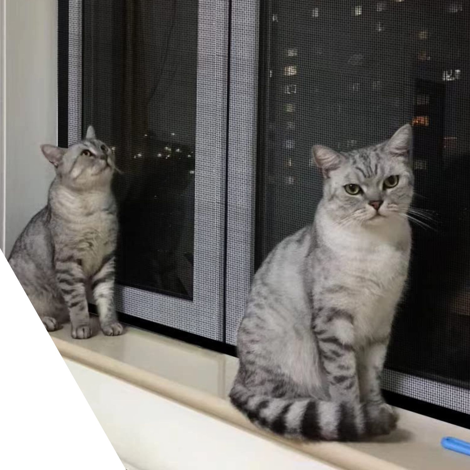 * DIY Adjustable Window Screens | The Cheapest DIY Flyscreen